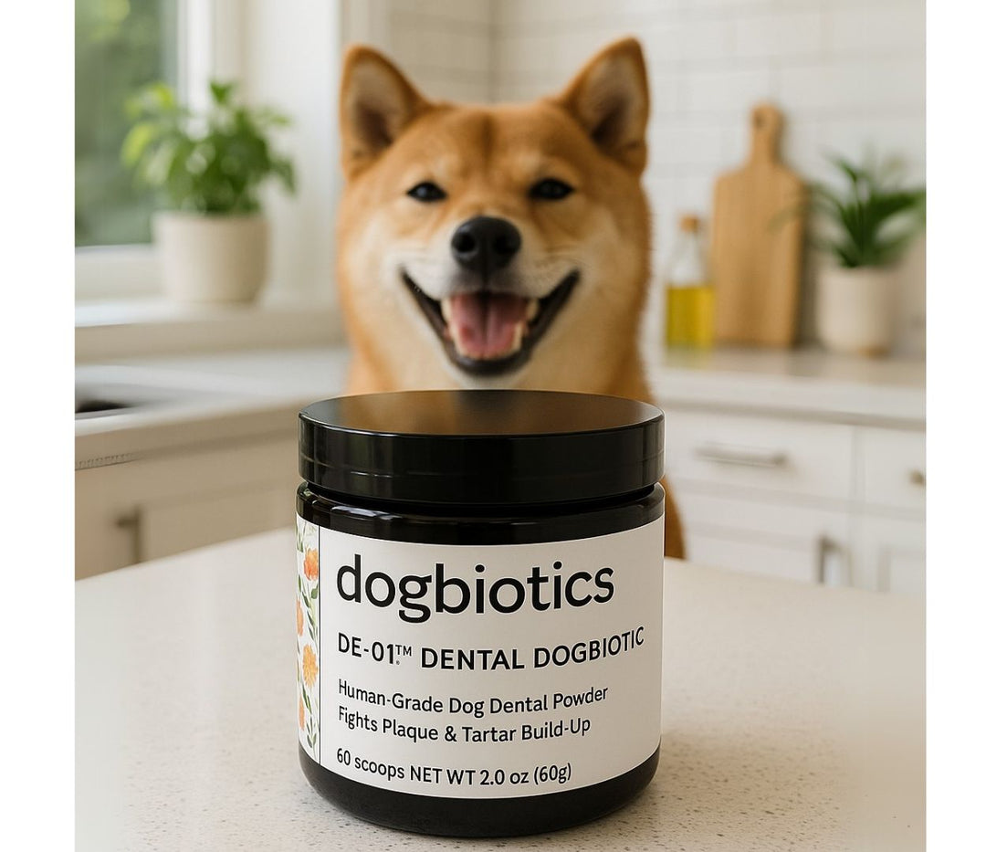 Dogbiotics - Human-Grade Dog Care, Backed By Science